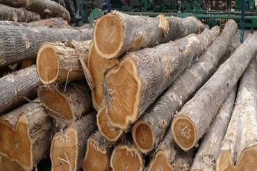 Products | Singla Timbers Pvt. Ltd